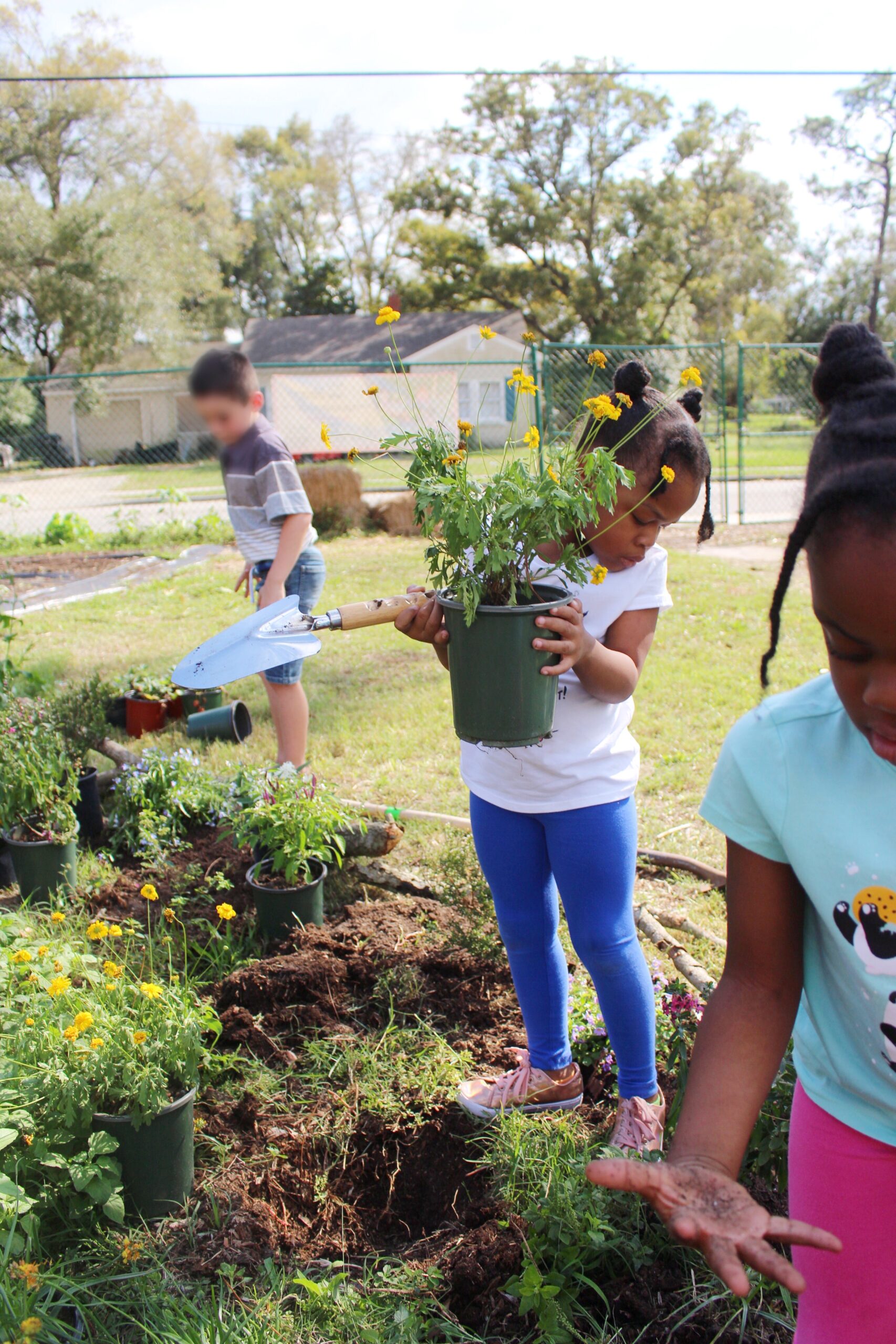 5 Spring Outdoor Activities Your Kids Will Love | Nakisha Wynn