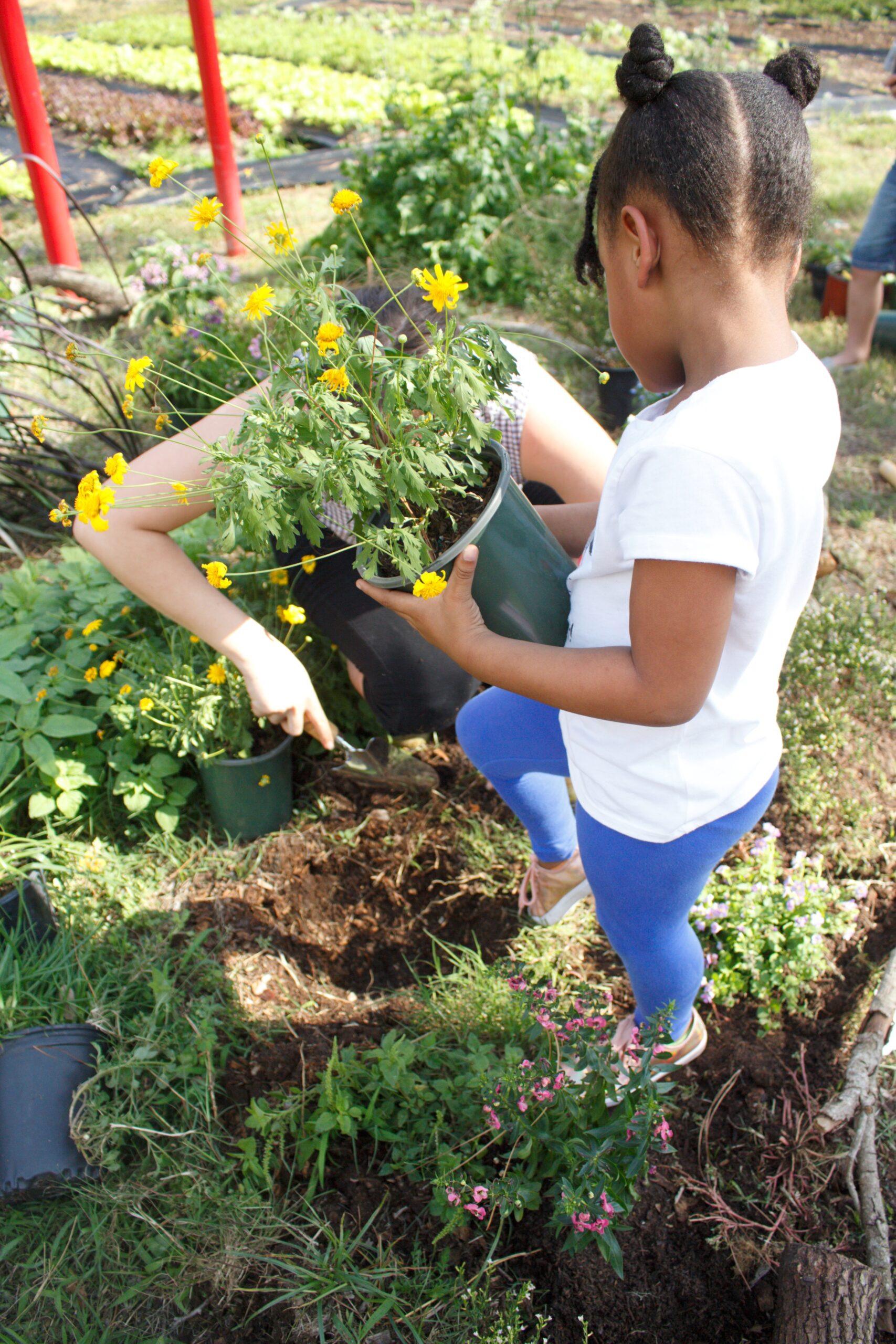 5 Spring Outdoor Activities Your Kids Will Love | Nakisha Wynn