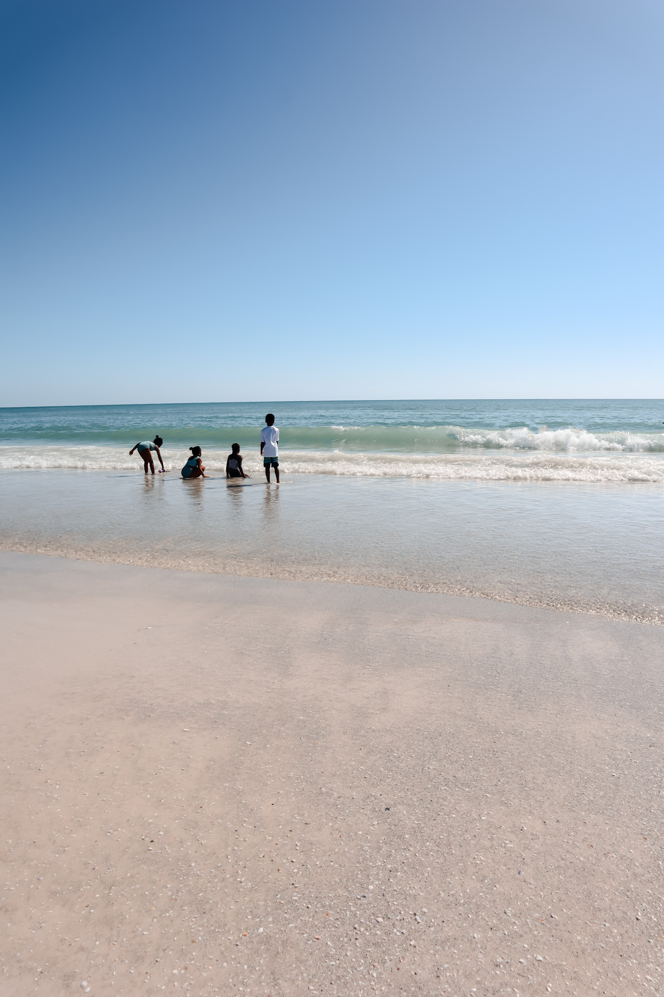 Siesta Key Beach Florida: Things to do & What you Should Know